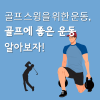 골프 스윙과 비거리를 위한 운동 골프에 좋은 운동 알아보자 네이버 블로그